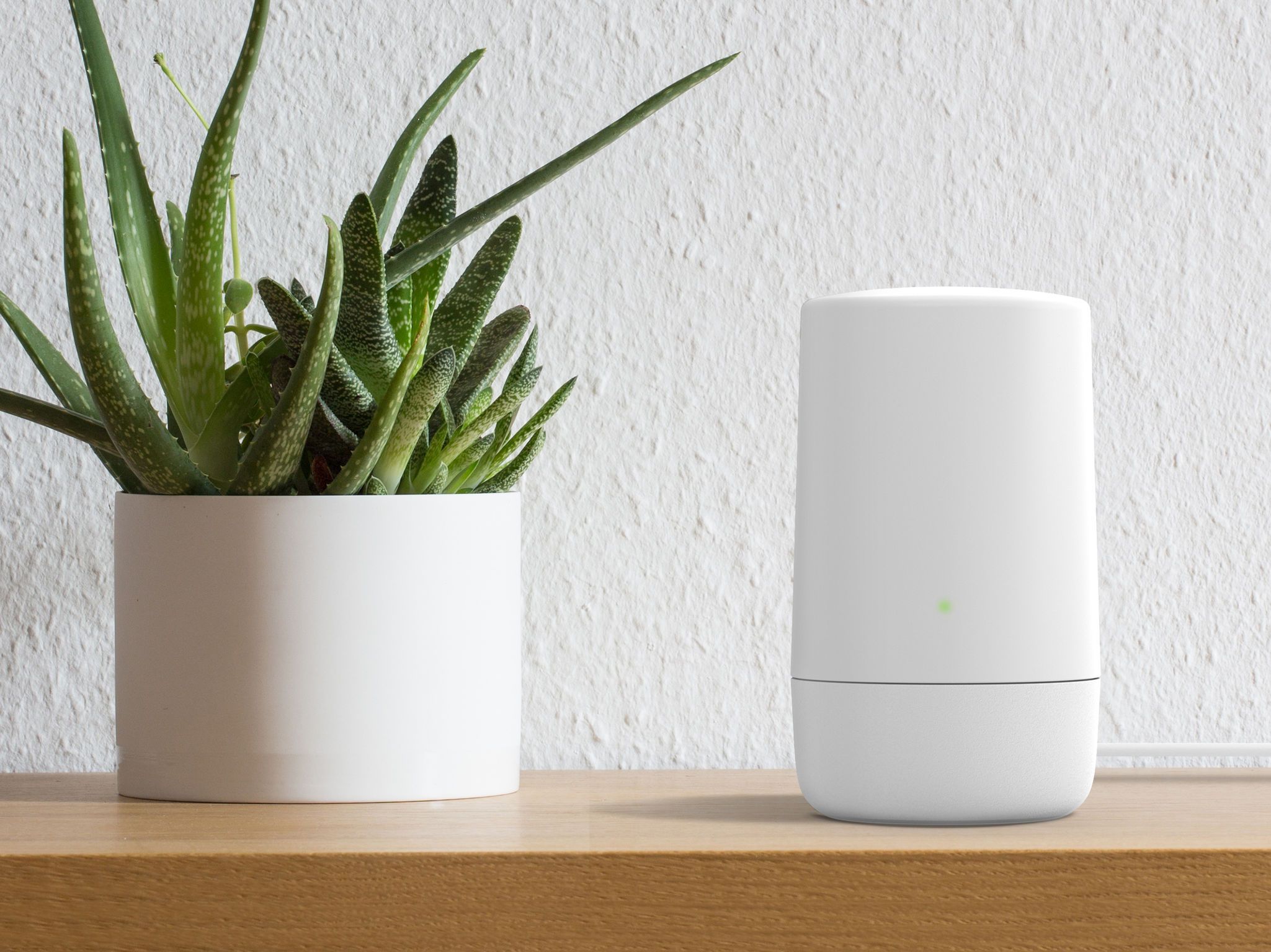 New Telus Wi-Fi 6 Access Point and Wi-Fi Jack | TELUS Neighbourhood