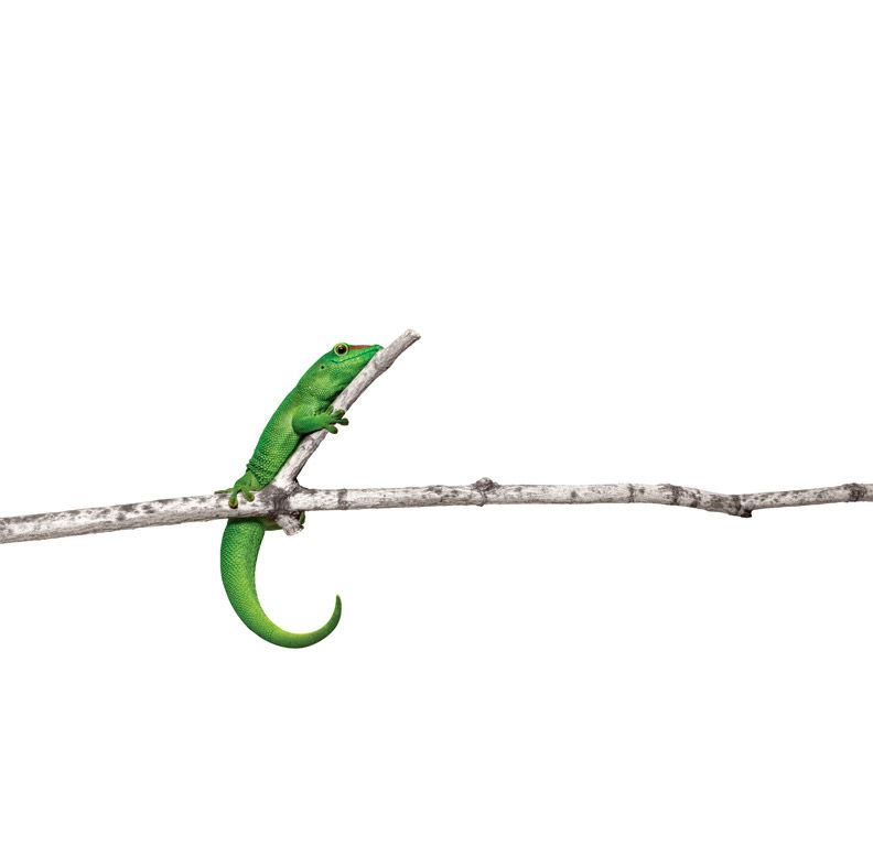 How We’re Using AI To Visit Customers’ Homes – Remotely | TELUS ...