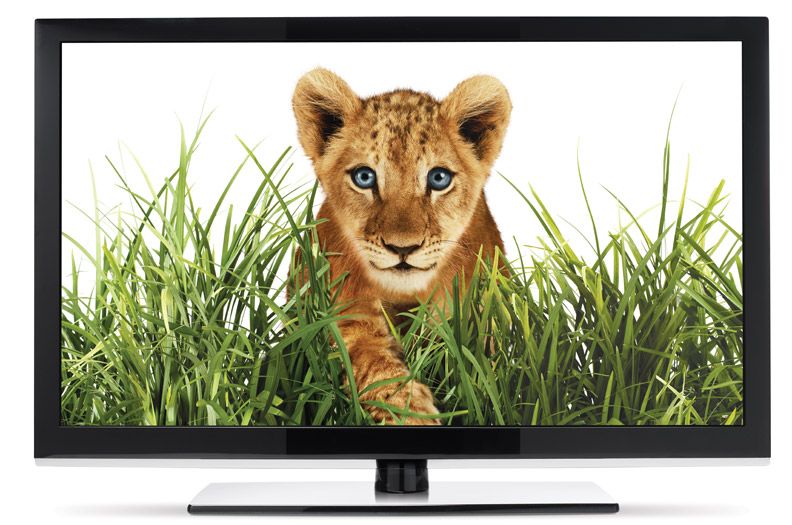 TELUS Optik TV: New Channels & Theme Packs Launch 2025